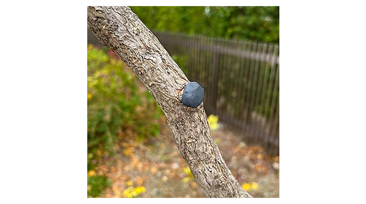 Kiyonal Bonsai Cut Paste - Essential Pruning Sealer