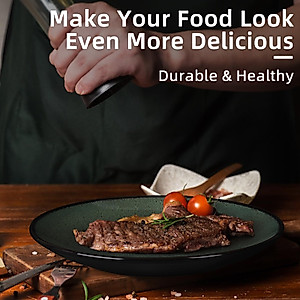 Yakitoko Dinner Plates Set of 6, 10.6 Garden Sculpture Outdoor Decoration