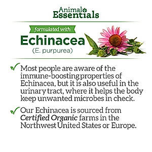 Animal Essentials Tinkle Tonic Herbal Formula for Healthy Urinary Tract in Dogs & Cats, 1 fl oz - Made in the USA, Alcohol Free