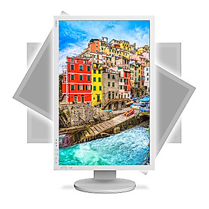 24IN WS LCD 1920X1200 PA243W DP