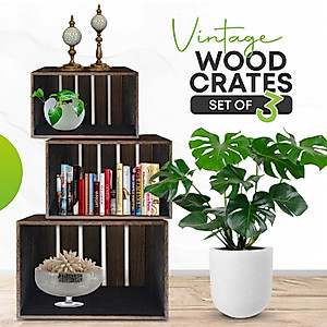 FANDOS Large Wooden Crates For Display -16x12x6in- Wall Mount Stackable Rustic Wooden Crate Boxes, Farmhouse Wooden Crates for Storage, Decorative Wooden Milk Crates for Decor /Artificial Crafts