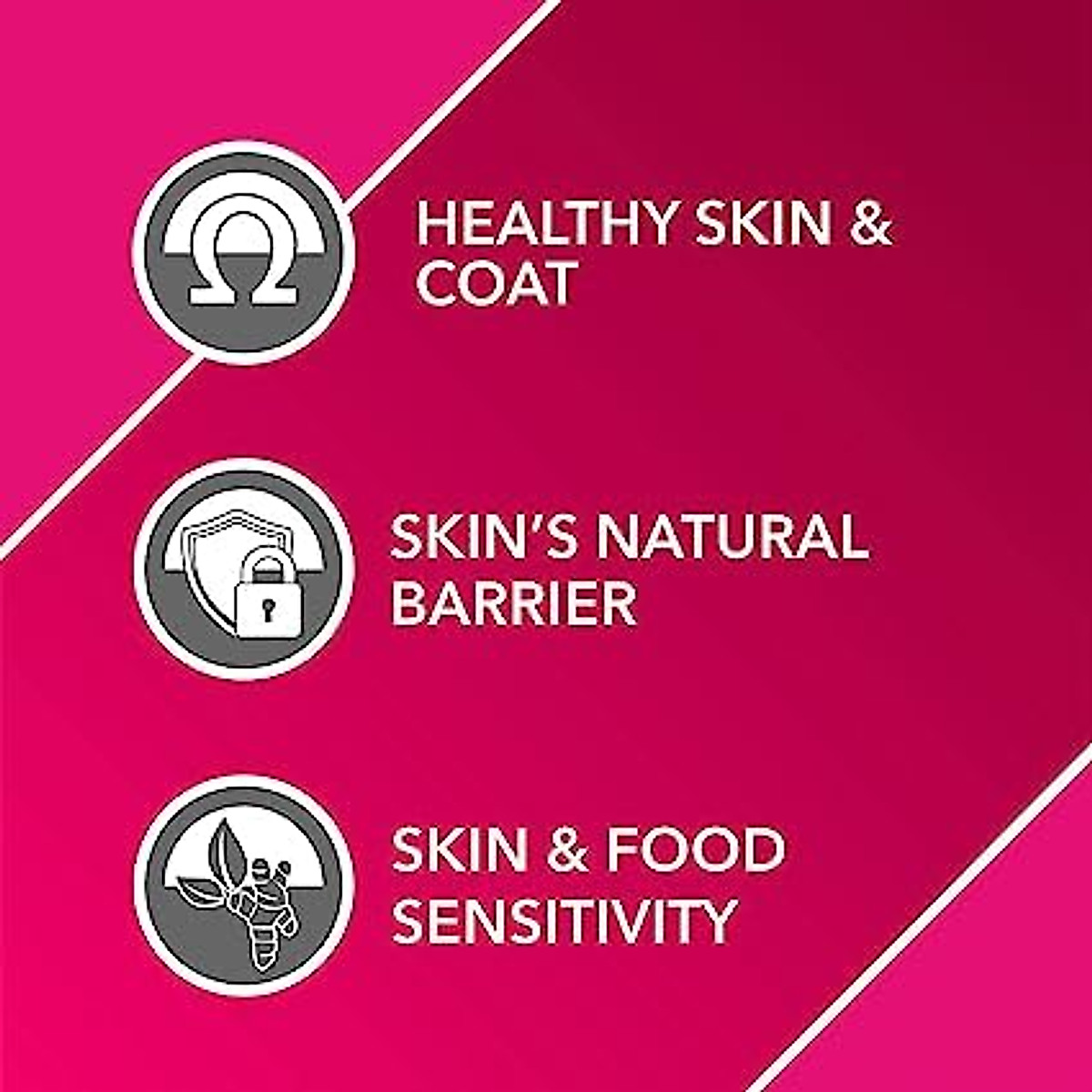 Absolute Skin + Coat Syrup- Dog Supplement, 300ml