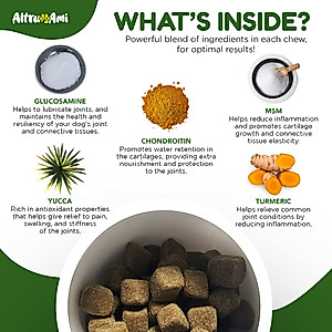 Glucosamine for Dogs - Hip & Joint Supplement for Dogs - Arthritis Pain Relief Chews with Chondroitin, MSM, Turmeric, Vitamin C & E - for Large, Medium & Small Dog - Health Supplies Made in USA