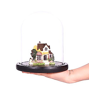 ZOOFOX Set of 2 Glass Dome Cloche with Black Wooden Base, 6" x 7" Decorative Bell Jar Display Dome for Plants, Fairy Lights, Photos, Succulents and Medals