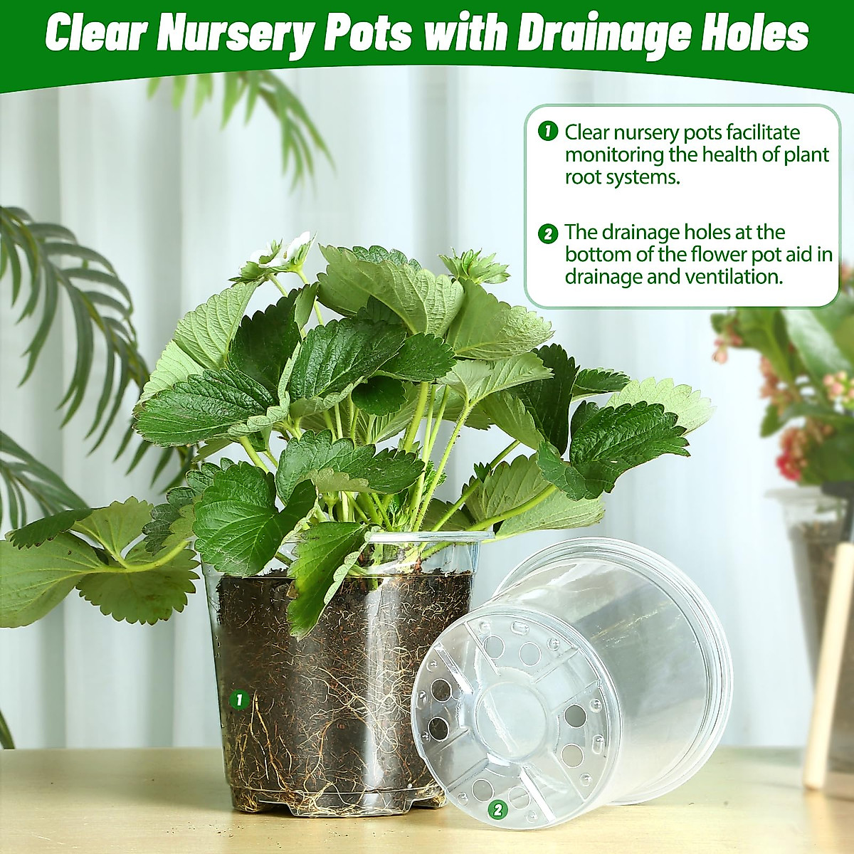 TAQIXI 48 Pack 7/6/5/3.5 Inch Clear Plastic Pots for Plants, Clear Nursery Pots with Drainage Holes, Reinforced Plastic Nursery Pots Variety Pack
