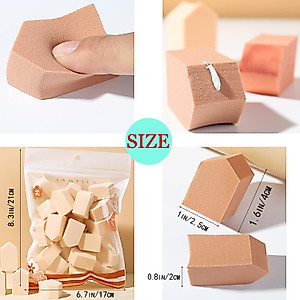 25 PCS Makeup Blenders Sponges Set, Use for Dry and Wet, Perfect for Full Face Curve Blending, Cream, Liquid, Powder Foundation Cosmetics, Latex Free & Soft & Flexible, Pentagon