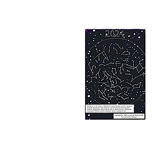 Parable of the Sower:  A Graphic Novel Adaptation: A Graphic Novel Adaptation