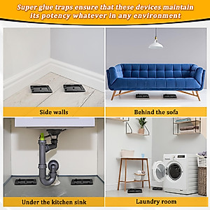 Qualirey 6 Pack Mouse and Insect Glue Traps, Strong Sticky Pre Baited Trays with Non Toxic Glue for Mice, Small Rats, Flies, Cockroaches and Other Bugs, Ready to Use Indoor, Safe to Children