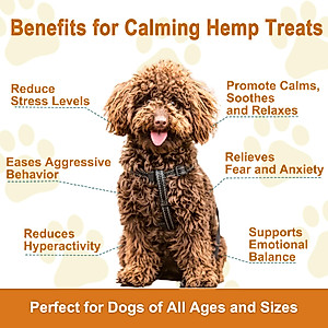 Dogs Hemp Calming Chews, Anxiety Relief Calming Treats 100% Natural Ingredients Calming Treats for Dog, Aid with Barking, Thunderstorms, Separation Beef Flavor