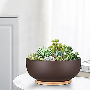 Thirtypot 10 Inch Terracotta Planter, Large Succulent Bonsai Planter Pot with Drainage Hole and Bamboo Saucer for Indoor Plants, Brown