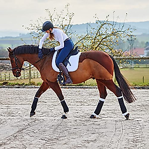 Horze Rear Leg No Bow Equine Standing Wraps Pair - Off-White - Horse