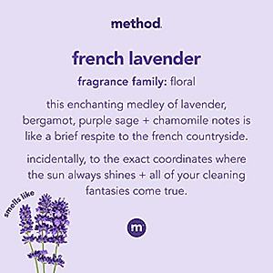 Method Foaming Hand Soap Refill, French Lavender, Recyclable Bottle, Biodegradable Formula, 28 fl oz (Pack of 4)