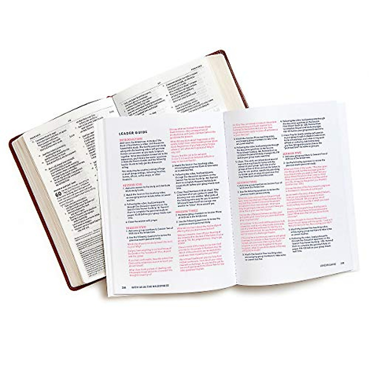 With Us in the Wilderness - Bible Study Book: A Study of the Book of Numbers