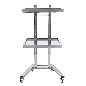 DNYSYSJ Beauty Salon Stand Rolling Cart, 2 Tier Spa Beauty Machine Holder Trolley, Salon Storage Trolley Stand, for Salons Studios Shops Medical Shops and Dentists