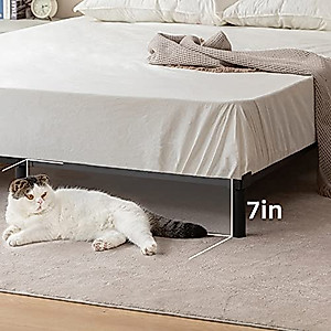 Queen Bed Frame, 7 Inch Metal Platform Bed Frame Queen Size No Box Spring Needed, Floor Bed Frame with Steel Slat Tool-Free Easy Assembly Non-Slip Mattress Foundation, 9-Leg Heavy Duty Bedframe, Black