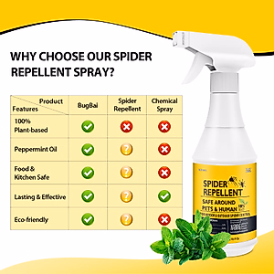 BugBai Spider Repellent for House Indoor Pet Safe, 16oz Peppermint Oil Spider Spray Outdoor Repels All Spiders, Natural Spider Killer to Get Rid of Spiders in House, Bedroom, Basement, Bathroom, Car