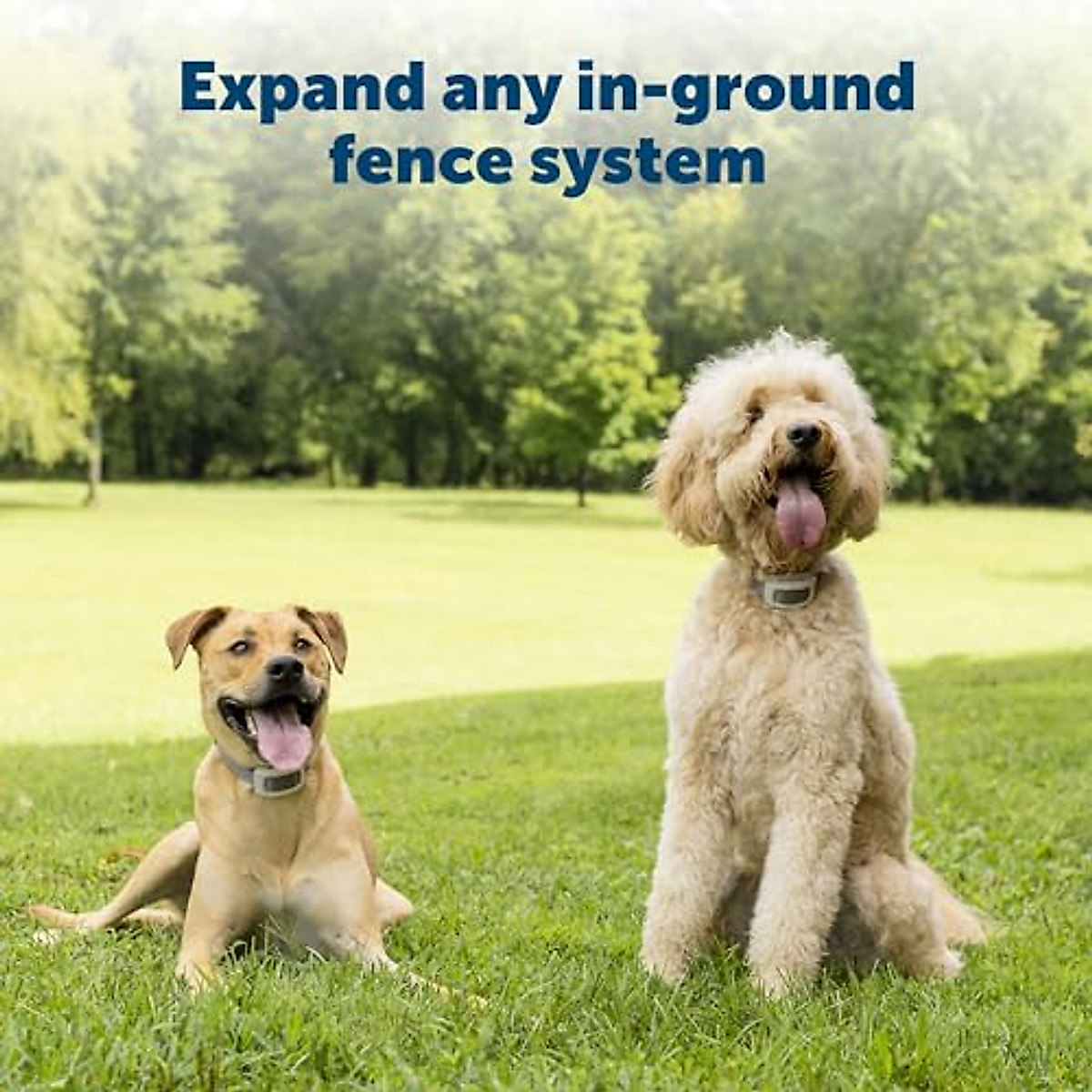 PetSafe Fence Wire and Flag Kit, Includes 50 boundary Flags and 500 ft of Wire, Expand your In-Ground Fence