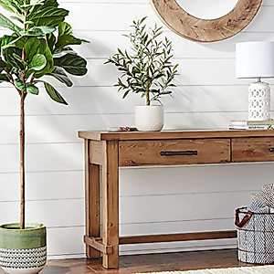 Amazon Brand - Stone & Beam Artificial Olive Tree with Plastic Nursery Pot, 2.2 Feet (26.5 Inches) / Small, Indoor