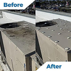 Bird Barrier Dissolve-It Max Enzyme Cleaner - Mix with Water – Bird Dropping Cleaner - Dissolves Waste – Treat Affected Areas Before Installing Bird Control Products - Bird Cage Cleaner - 1 Pint Makes 1/2 Gallon