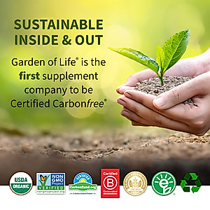 Garden of Life Vegetarian Digestive Supplement - Omega Zyme Ultra Enzyme Blend for Digestion, Bloating, Gas, and IBS, 180 Capsules