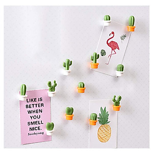 TabEnter Decorative Refrigerator Magnets, Perfect Fridge Magnets for House Office Personal Use (12Pcs Cactus)