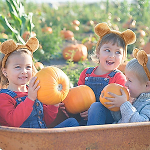 WILLBOND Bear Ears Headband and Tail Costume Set, 6 Pieces, Brown, for Halloween or Costume Parties