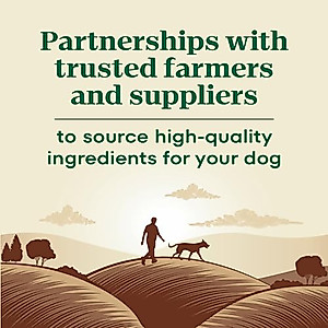 Nutro Max Adult Large Breed Dry Dog Food with Farm-Raised Chicken, 36 lb. Bag