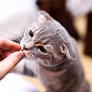 Meowijuana | Crunchie Munchie Bundle | Chicken and Fish Combo Pack | Organic Catnip Center | Grown in The USA | Promotes Cat Health | High Potency Cat Treats | Feline and Cat Lover Approved