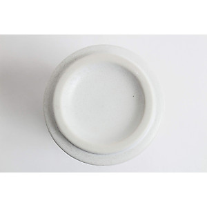 Mino ware Japanese Ceramics Sushi Yunomi Chawan Tea Cup Various Cats made in Japan (Japan Import) YAY050