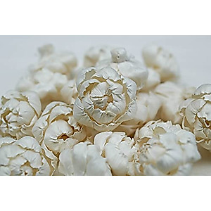 50 Pieces Peony 2 inches diameter Sola Wood Flowers Artificial Flower for decoration wholesale Shop Diffuser Handmade Spa Wedding Craft