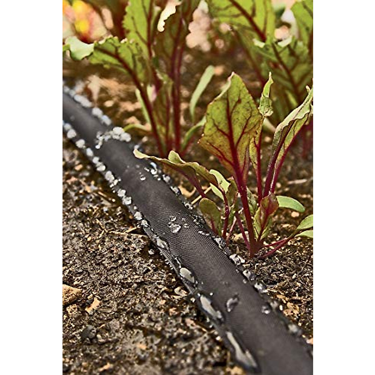 Rocky Mountain Goods Flat Soaker Hose - Heavy Duty Double Layer Design - Saves 90% Water - Consistent Drip Throughout Hose - Leakproof Guarantee - Garden/Vegetable Safe (25FT)