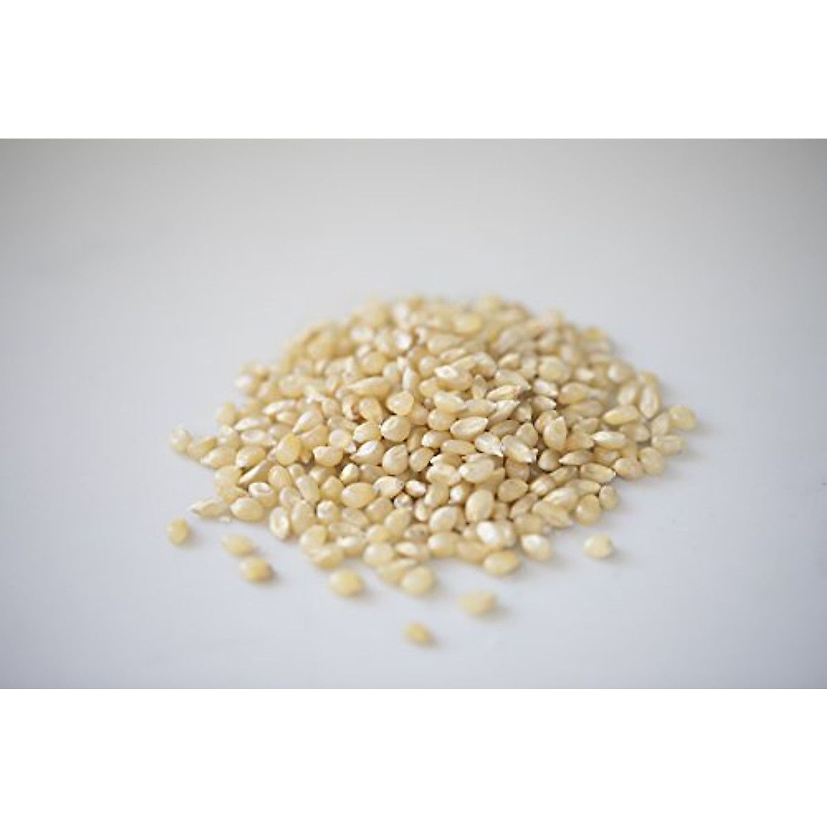 Amish Country Popcorn - Baby White Extra Small and Tender - GMO Free 2 lb Bag