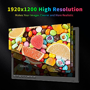 Feihe 17 Inch Computer Monitor, FHD 1920x1200 LED Monitor with HDMI VGA Build-in Speakers, 60Hz Refresh Rate, VESA Mounting