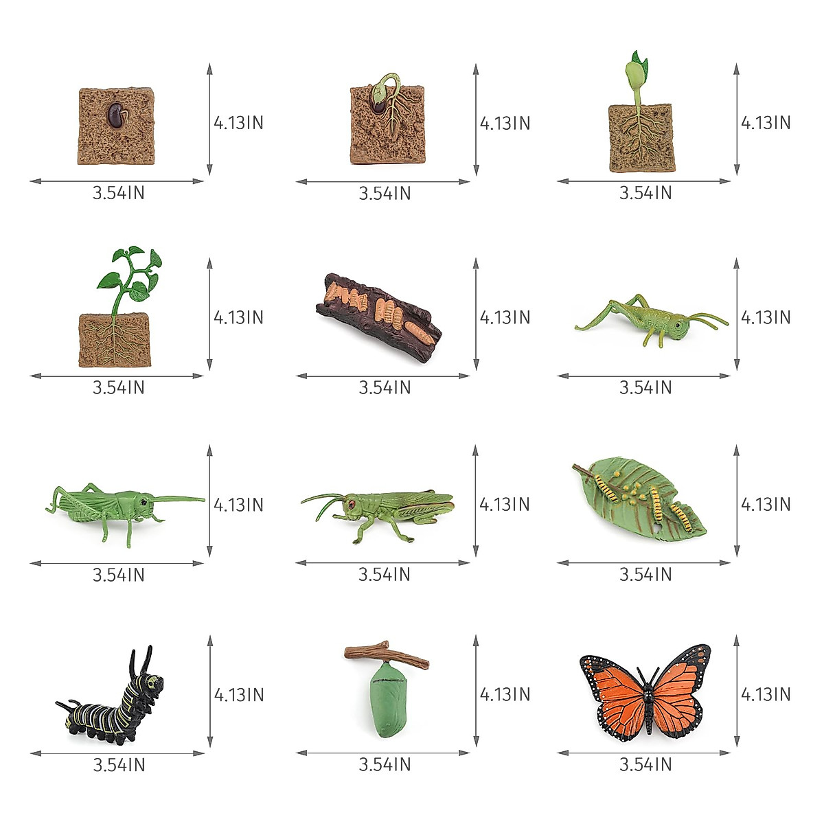 12PCS Life Cycle Figurines Toy Set of Butterflies Grasshoppers and Plants Figures Preschool Toys Kit Science and Educational Auxiliary Toys Cake Toppers Party Favors for Kids Toddlers Boys and Girs