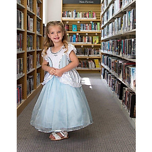 Little Adventures Deluxe Cinderella Princess Dress up Costume for Girls Small (Age 1-3) - Machine Washable Child Pretend Play and Party Dress with No Glitter