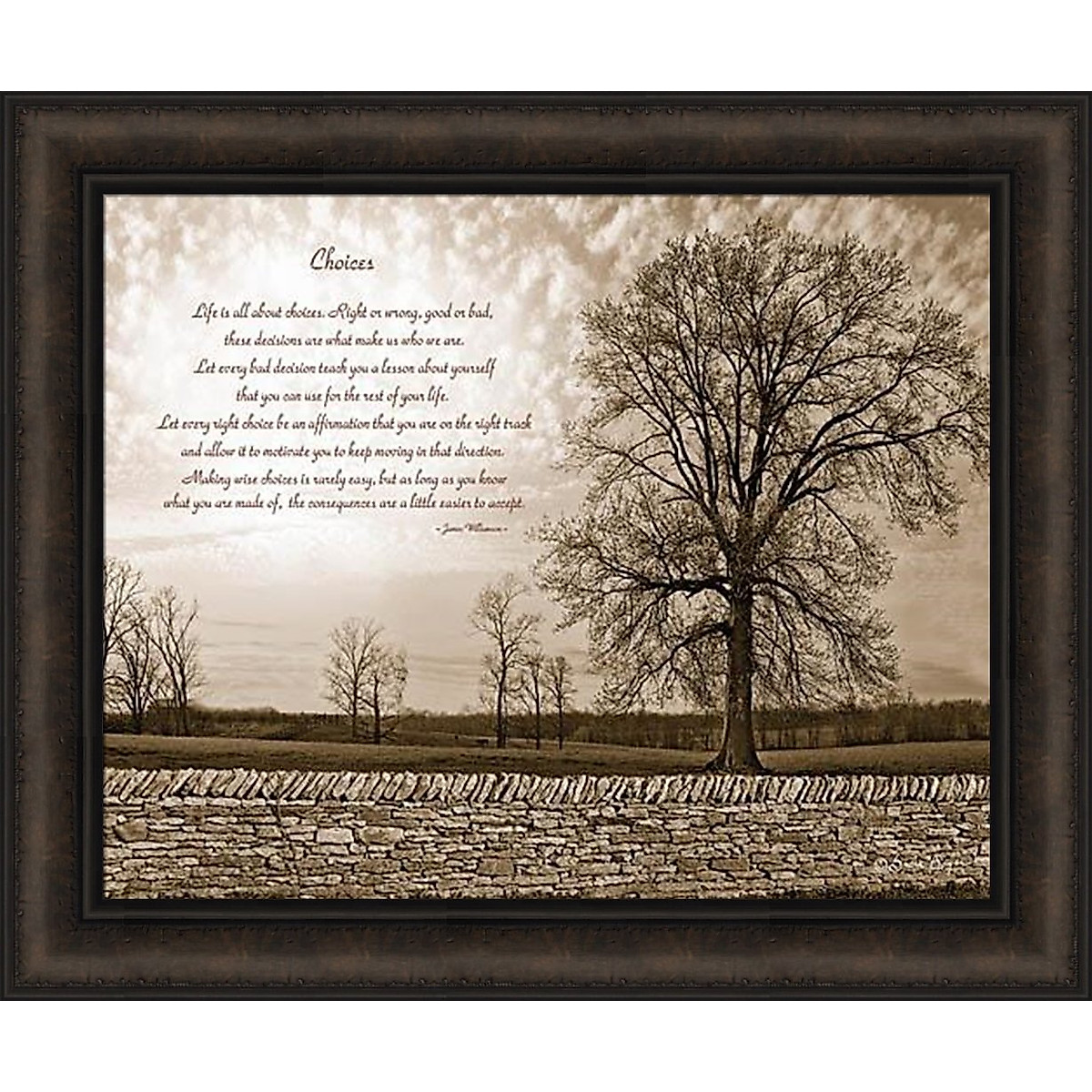 Home Cabin Décor Choices by Susie Boyer 20x24 Tree Rocks Sepia James Williamson Quote Inspirational Motivational Framed Art Print Picture