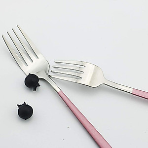 JASHII 20-Piece SUS304 Stainless Steel Flatware Set, Mirror Polishing Dinnerware Set Service for 4, Knife/Fork/Spoon/Dessert Spoon/Dessert Fork (Pink silver)