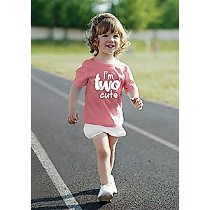 2nd Birthday Outfits for Toddler Girls im Two Cute Shirt Girl 2 Year olds Second (Mauve, 2 Years)