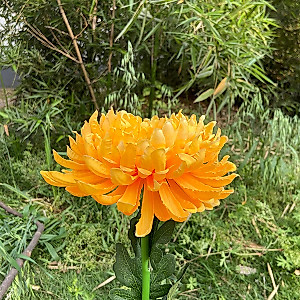 fopfun Yellow Chrysanthemum Solar Lights Outdoor Garden Decorative Flowers Yard Decorations Solar Pathway Lights Solar Powered Garden Yard Ornament Lights for Walkway Sidewalk Driveway