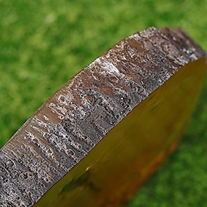 IMIKEYA Amber Fossil with Insects Samples Stones Crystal Specimens Home Decorations Collection Pendant Dragonfly