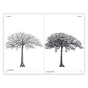 The Architecture of Trees