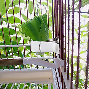 AHANDMAKER 6pcs Bird Cage Clips, Bird Clamp Feeder Bird Food Holder Cage Clips Millet Holder Parrot Fruit Vegtable Clips for Budgie Parakeet Cockatiel Conure