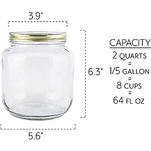 Cornucopia Large Coin Bank Jar; Half Gallon Clear Glass Piggy Bank with Gold Slotted Lid