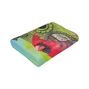 YETOUTOU Cardinal Bird Gifts Christmas Throw Blanket (50"X40") Lightweight Flannel Fleece Blanket for Couch Bed Sofa Travelling Camping for Kids Adults