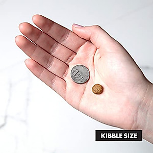 Nutro Natural Choice Senior Dry Dog Food, Chicken & Brown Rice Recipe Dog Kibble, 13 lb. Bag