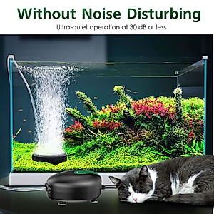 AQQA Aquarium Air Pump Quiet Fish Tank Aerator Pump Powerful Oxygen Pump Single Outlet Air Pump for Hydroponics Freshwater and Marine Water Tank (2.5W for Up to 40 Gal Tank)