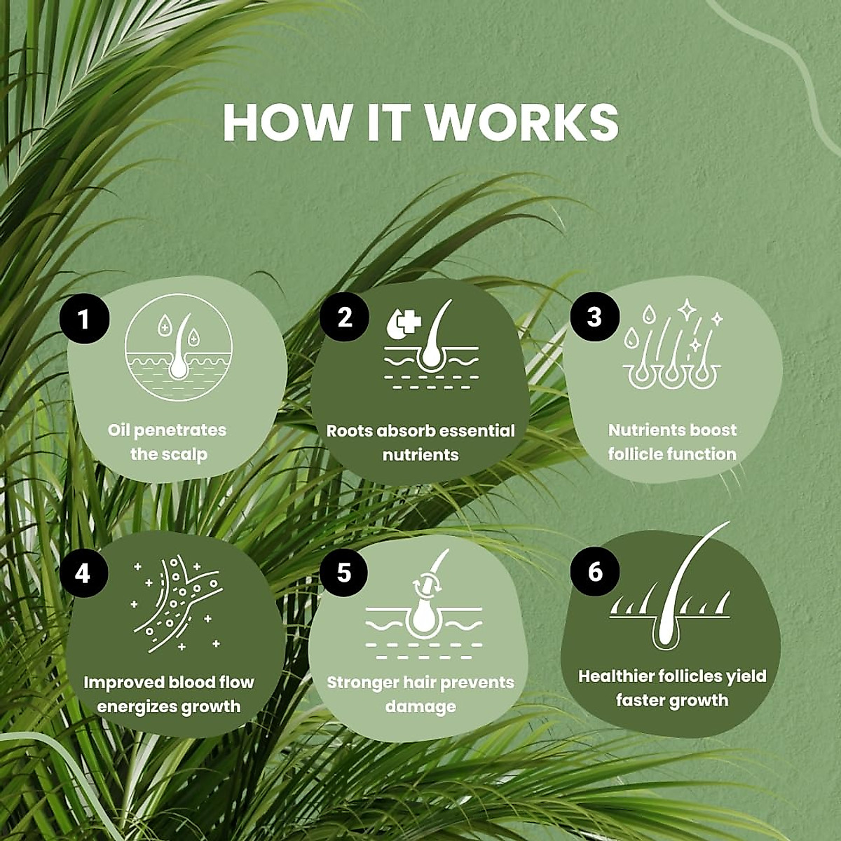 (2-Pack) 10 in 1 Hair Growth Oil (2 Oz) | Formulated With African Chebe Powder For Extreme Hair Growth, 2 Fl Oz (Pack of 1), 2.0 ounces