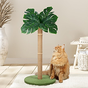 Yepdin Cat Scratching Post 39.4 inch Tall Cat Tree for Indoor Cats Large Adult Cat Scratching Post with Sisal Rope,Cute Kitten Cat Scratcher in Monstera Plants