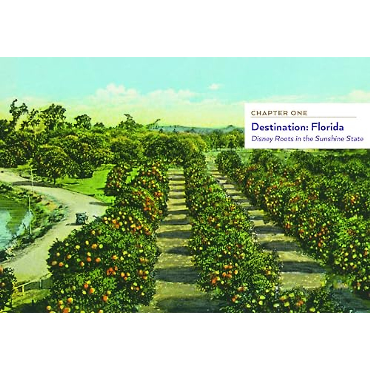 A Portrait of Walt Disney World: 50 Years of The Most Magical Place on Earth (Disney Editions Deluxe)