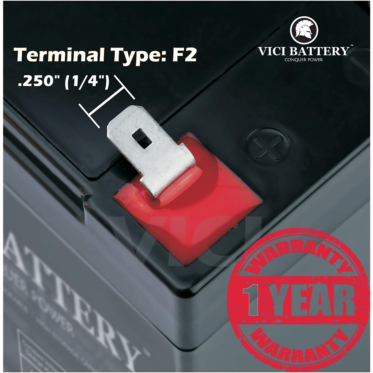 VICI Battery VB12-12 - 12V 12AH F2 Battery REPL. 6DZM-10, 6-DZM-10-4 Pack Brand Product